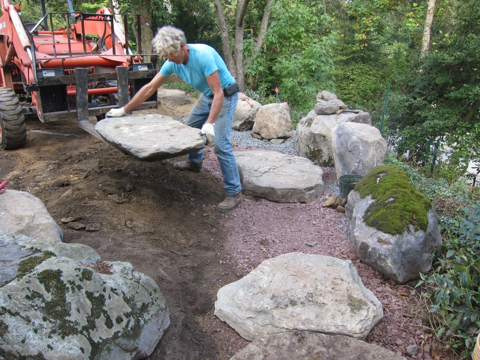 A LA RECHERCHE DE - IN SEARCH OF...: Zen Garden: Stabilize Slope Edge