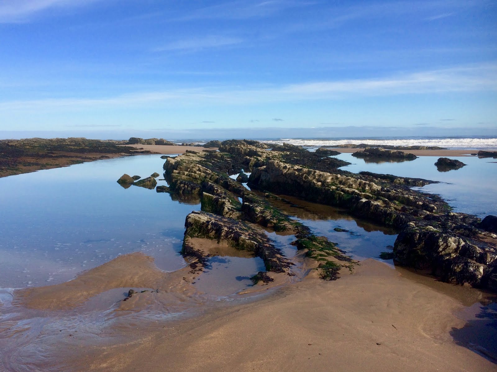 Days out in the Borders : Cocklawburn Beach