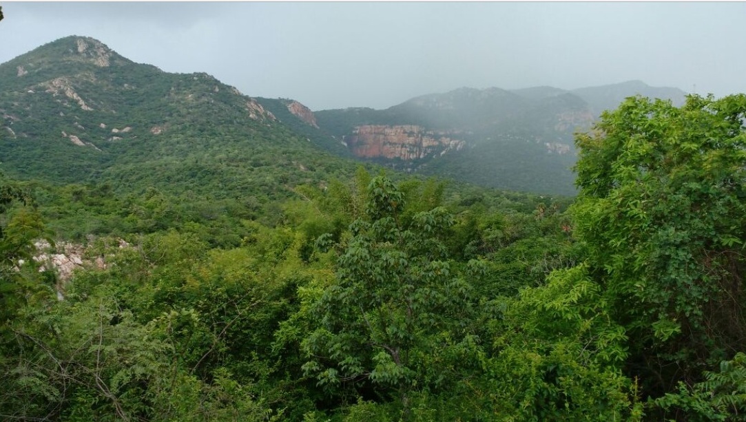 Waterfalls Near Chennai: KAILASA KONA WATERFALLS ( KONAI FALLS)