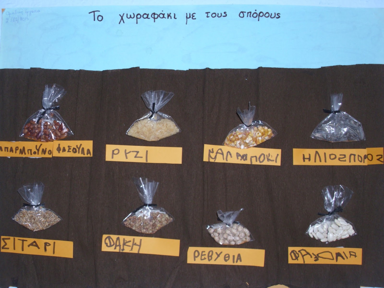 2ο Νηπιαγωγείο Κρηνίδων: ΑΠΟ ΤΟ ΣΠΟΡΟ ΣΤΟ ΦΥΤΟ