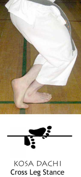 JKA NIKKEY ASSOCIACAO ARAPONGUENSE: Posições - Dachi e Golpes (Tecnicas ...