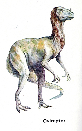 Love in the Time of Chasmosaurs: Vintage Dinosaur Art: Pocket Book of ...