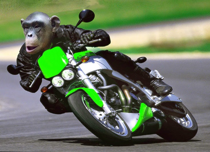 Monkey Magic from JAPAN: The monkey which rides on a motorcycle