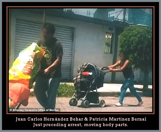 Unknown Gender History: Patricia Martinez Bernal, Half of a Serial ...