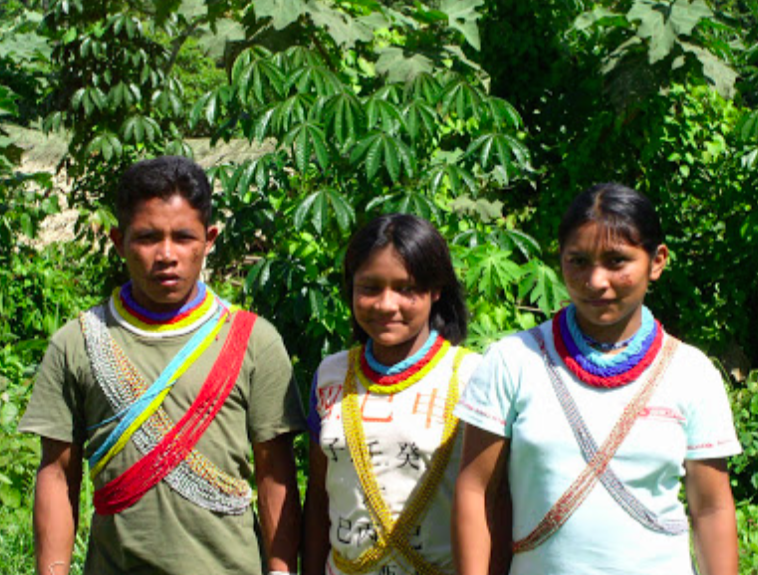 Povos Indígenas Brasileiros: Ye’kuana