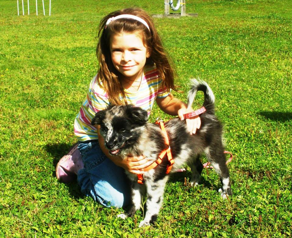 Hundetrening i Fokus: Barn og Hund