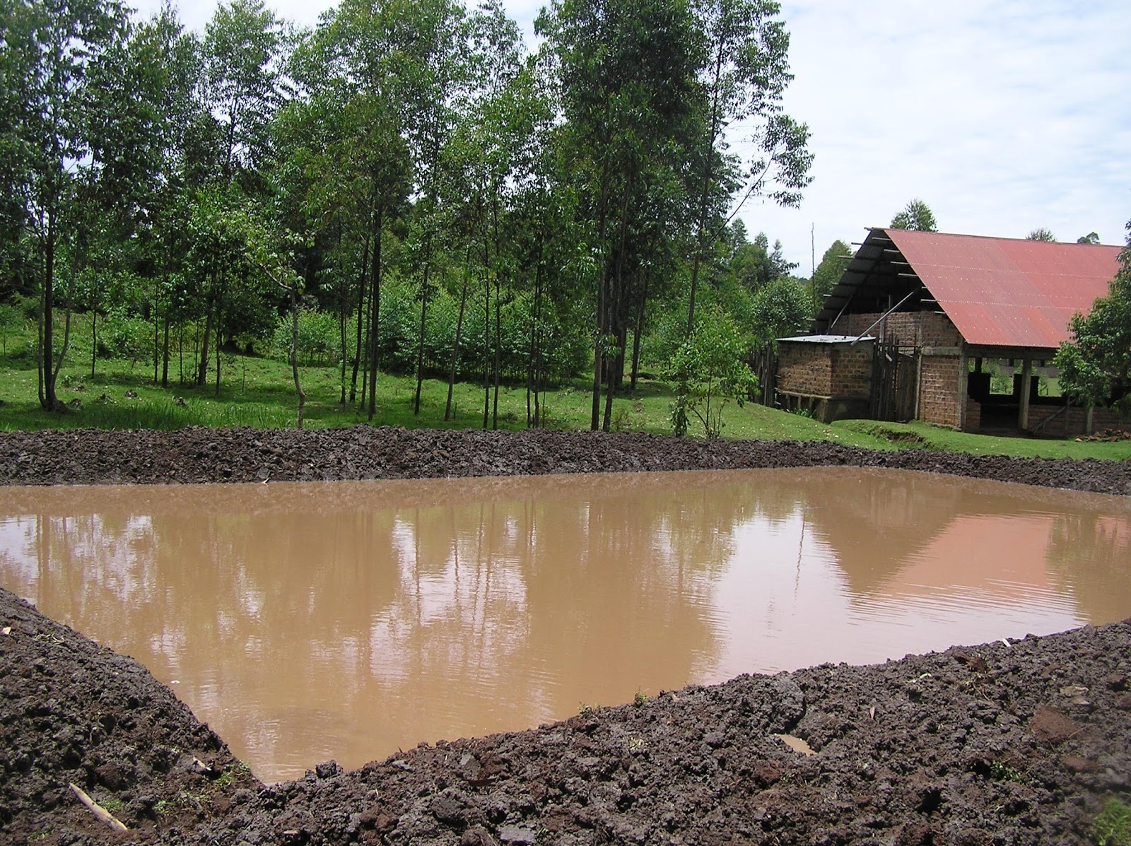 Mmanda Aqua- Farming blog: How is the aquaculture development situation ...