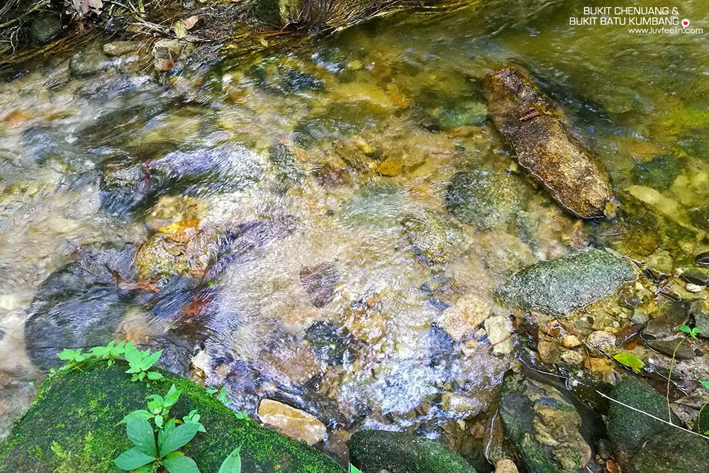 Trans Bukit Chenuang + Batu Kumbang 跨越双峰拥抱 180 度完美视野 - 乐飞翎 ♥ LUVFEELIN