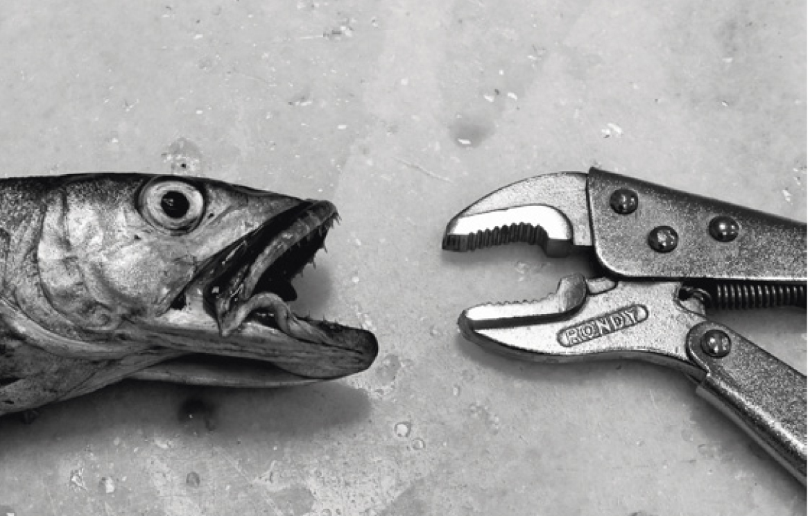 palabrasdegoma: Figuras retóricas: la metáfora