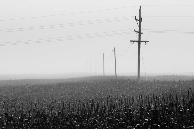 Frank Devlin Photography