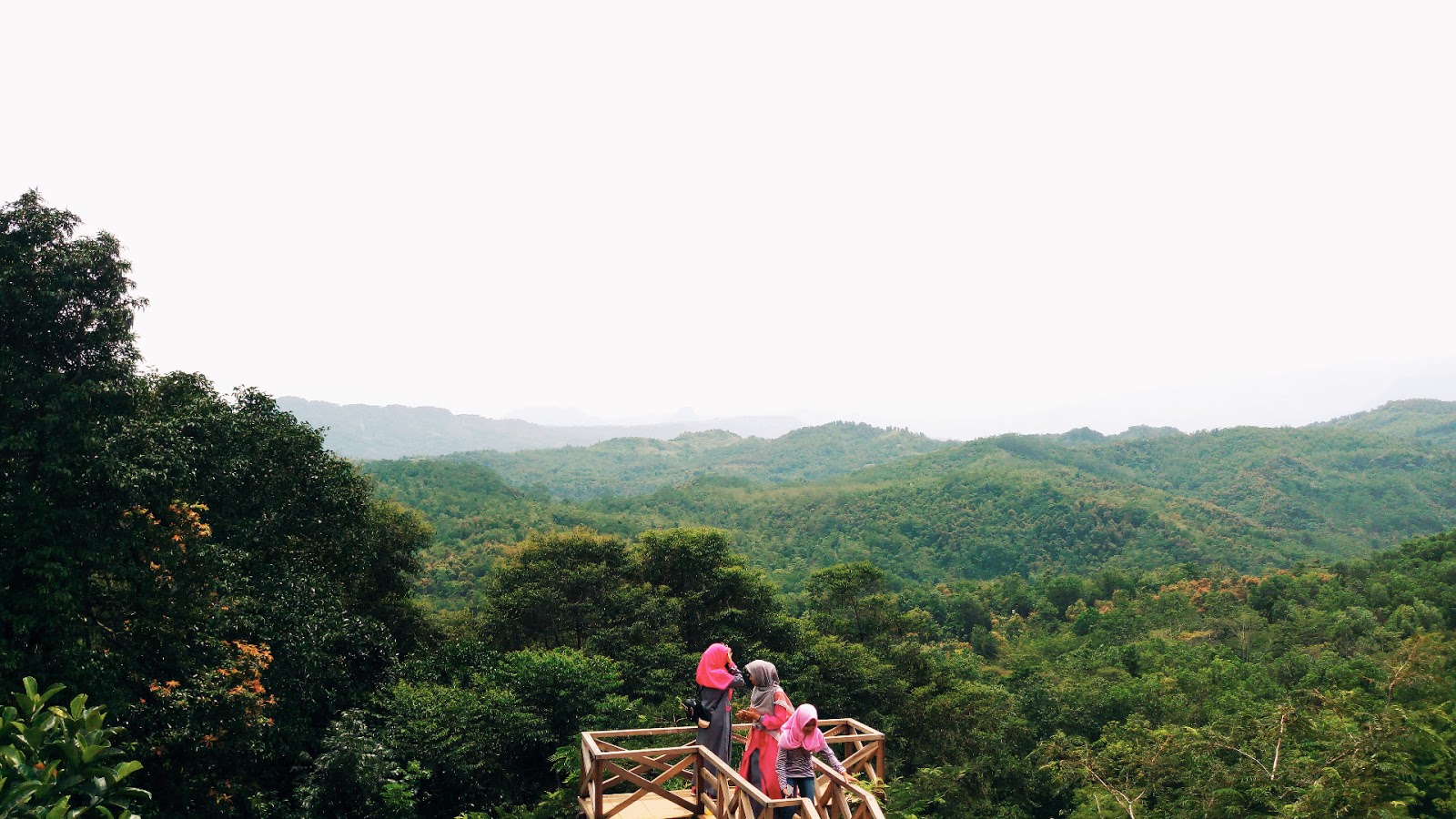 Jonggol Garden, Wisata Instagramable di Jonggol