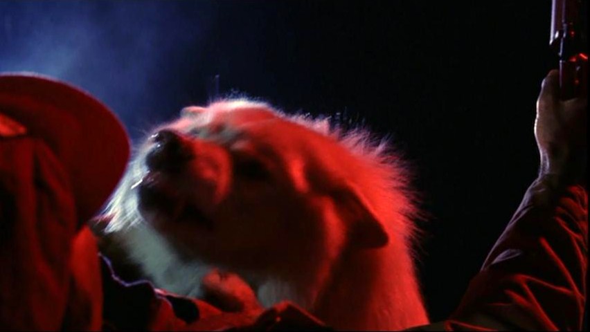 John Kenneth Muir's Reflections on Cult Movies and Classic TV: The Cult ...