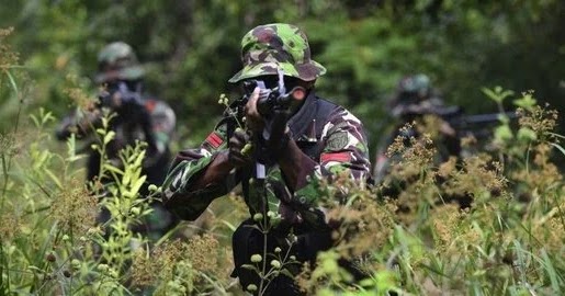 Usul Penarikan Pasukan Dari Papua Dinilai Tidak Logis