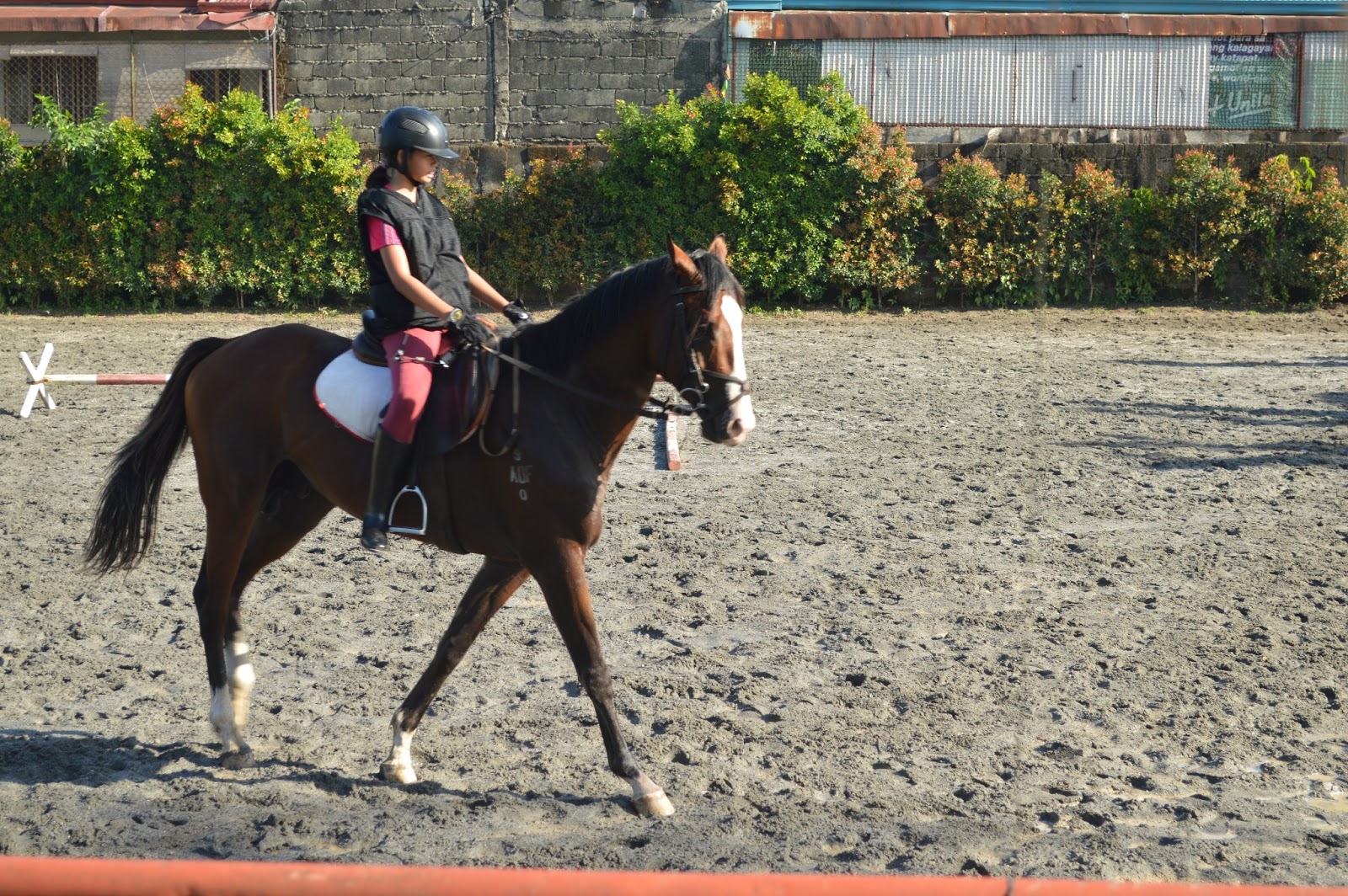 Horse Riding Philippines: A Glimpse of Yana's Horesback Riding Lesson ...