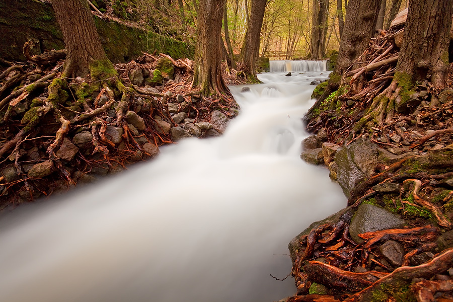 Deb's Photo Blog: Beautiful Water Landscapes