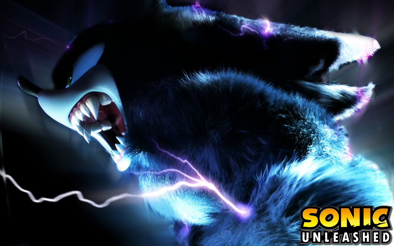 Sonic lobo - Imagui
