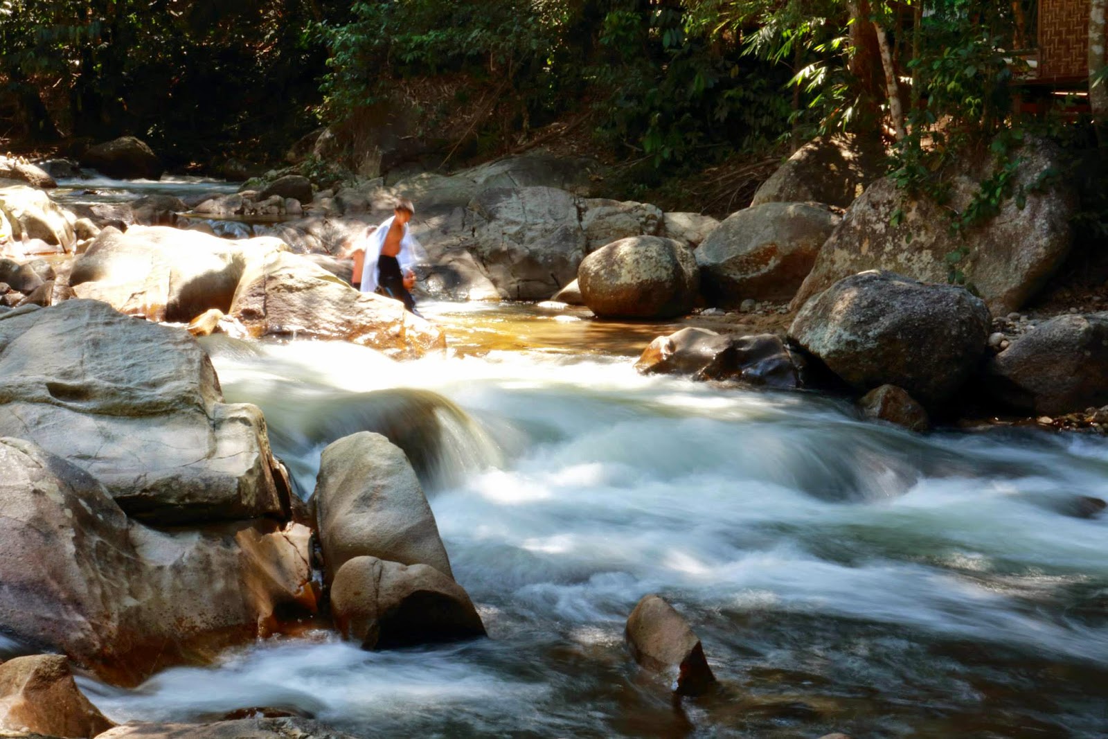 The Samosaurus Chronicles: Lata Lembik - Part 3