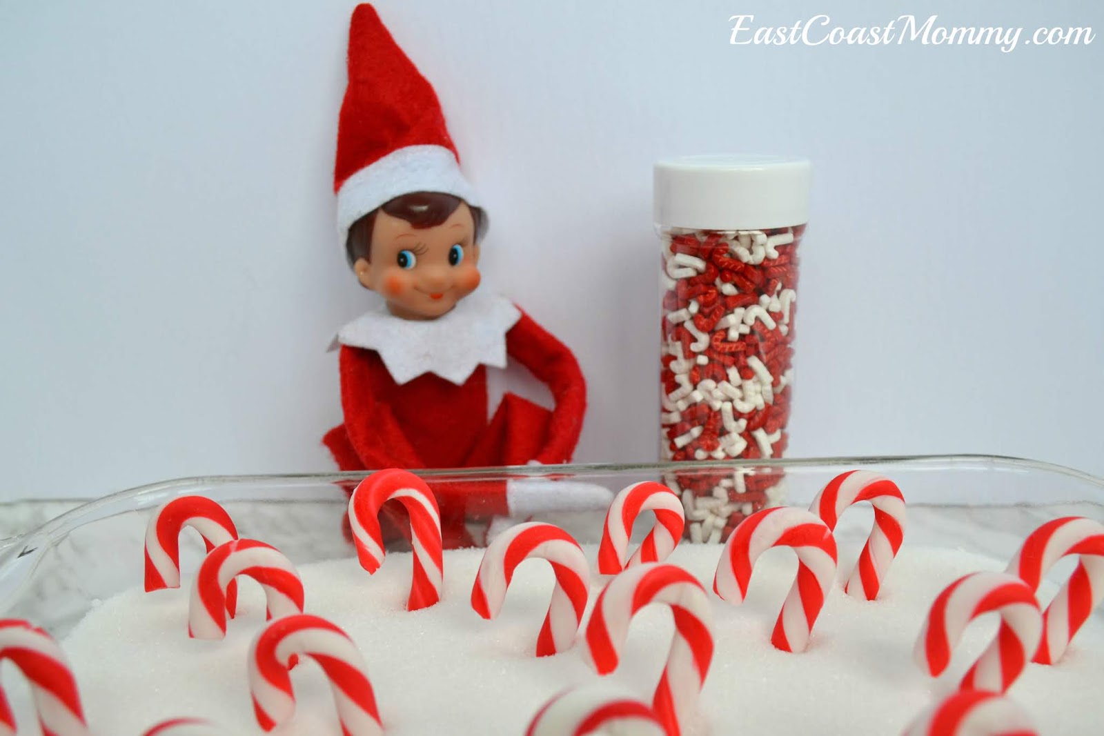 East Coast Mommy: Elf on the Shelf Magic Seeds... for a candy cane garden