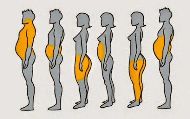 Jom Kenali Jenis-jenis Gemuk. Anda Gemuk Dalam Kategori Mana? - Blog ...