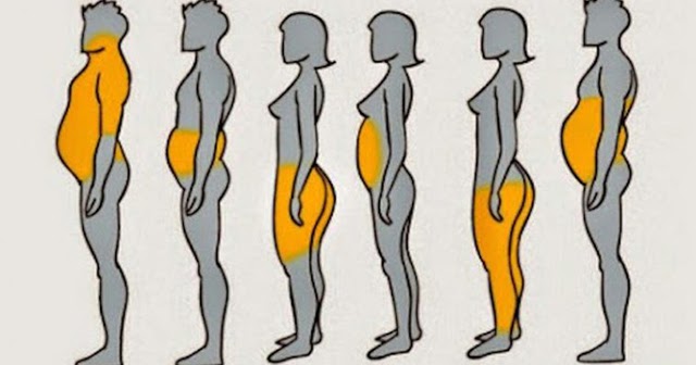 Jom Kenali Jenis-jenis Gemuk. Anda Gemuk Dalam Kategori Mana? - Blog ...