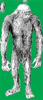 Abirahas Adawiya ....(මුල් පිටුවට පිවිසෙන්න මෙතනින් ) [HOME ...