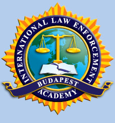 Mary Meets Budapest: A Visit to ILEA, not to be Confused with IKEA.