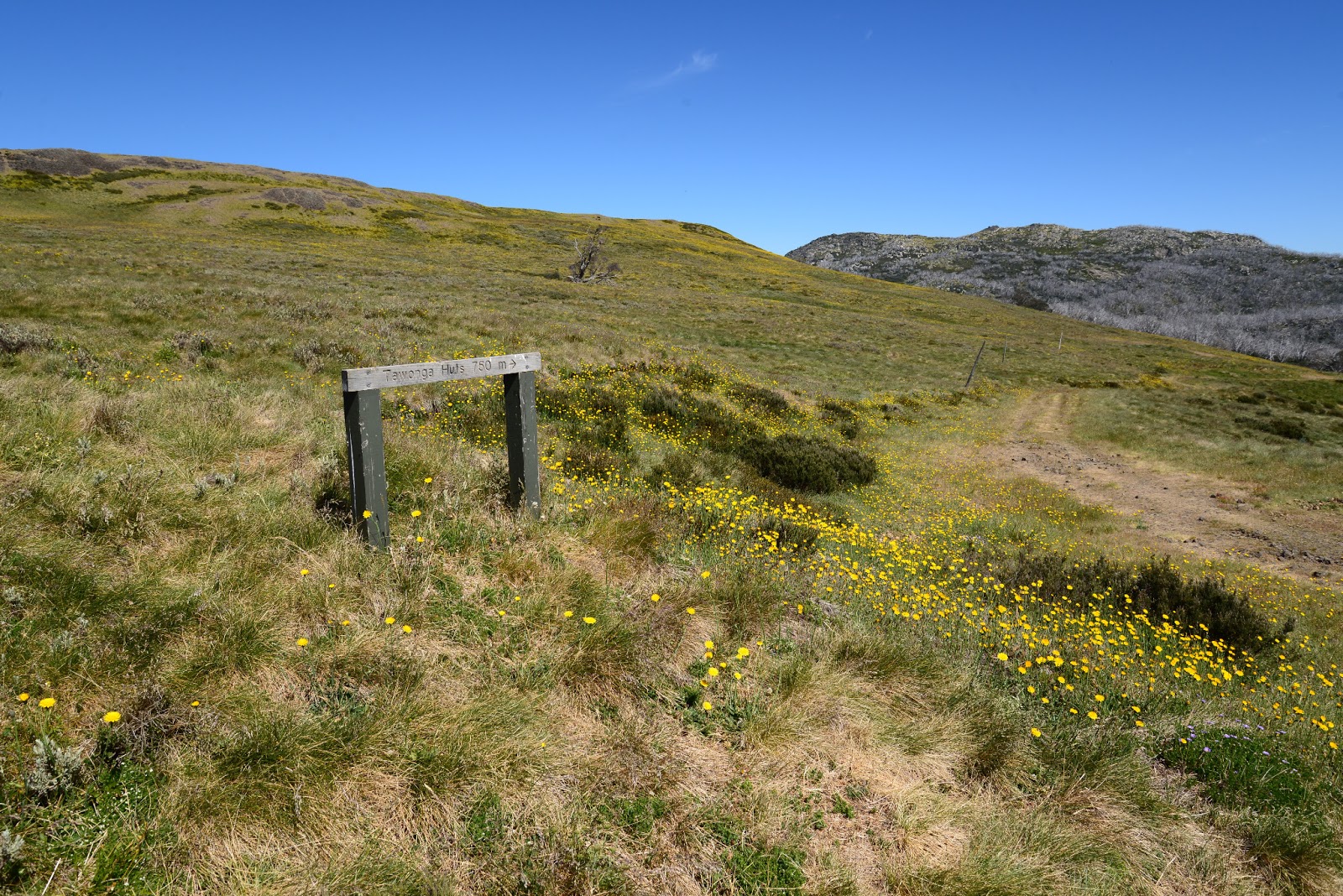 walkabouters club of victoria inc: Pretty Valley - Tawonga Huts - Mount ...