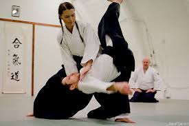Basic Aikido Guides: The Hard Style Aikido