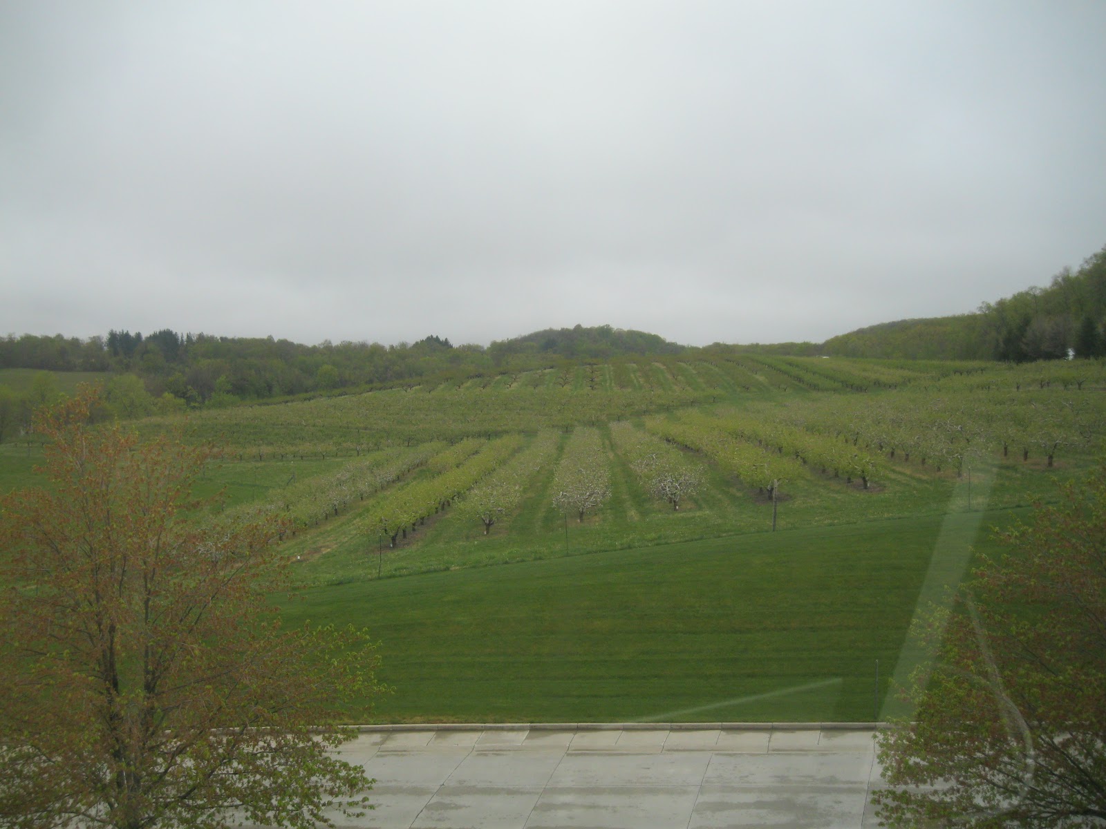 The Siple Family: Patterson Bethel