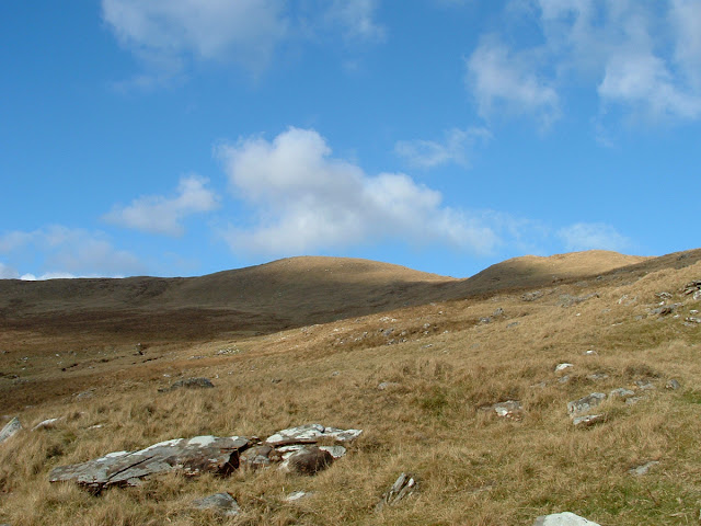 Your Commonage .ie: COMMONAGE GOVERNANCE