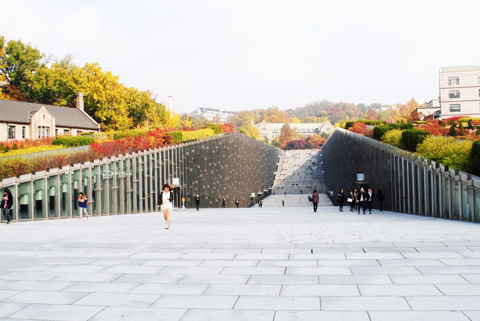 Falling In Light: Ewha Women's University
