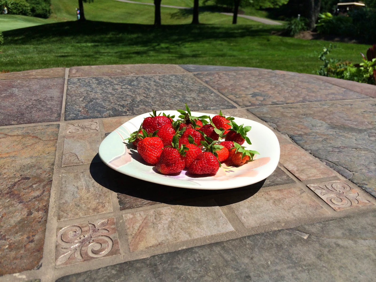 Victory Garden on the Golf Course: Back yard strawberries