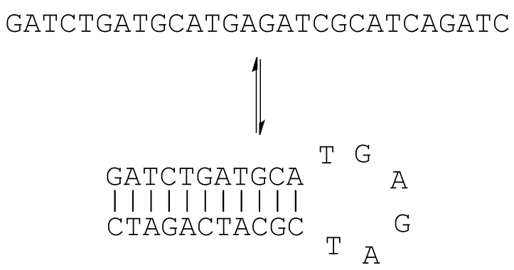 Pemilihan Primer PCR yang Tepat