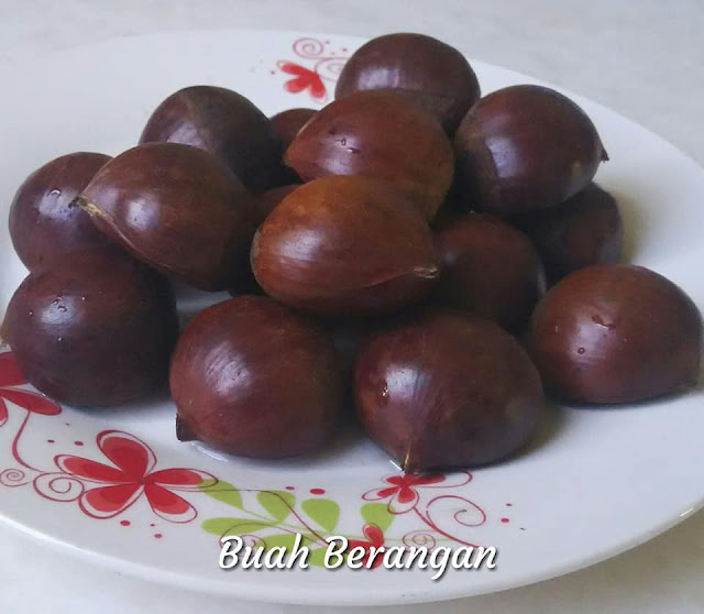 CHESTNUT OR BUAH BERANGAN