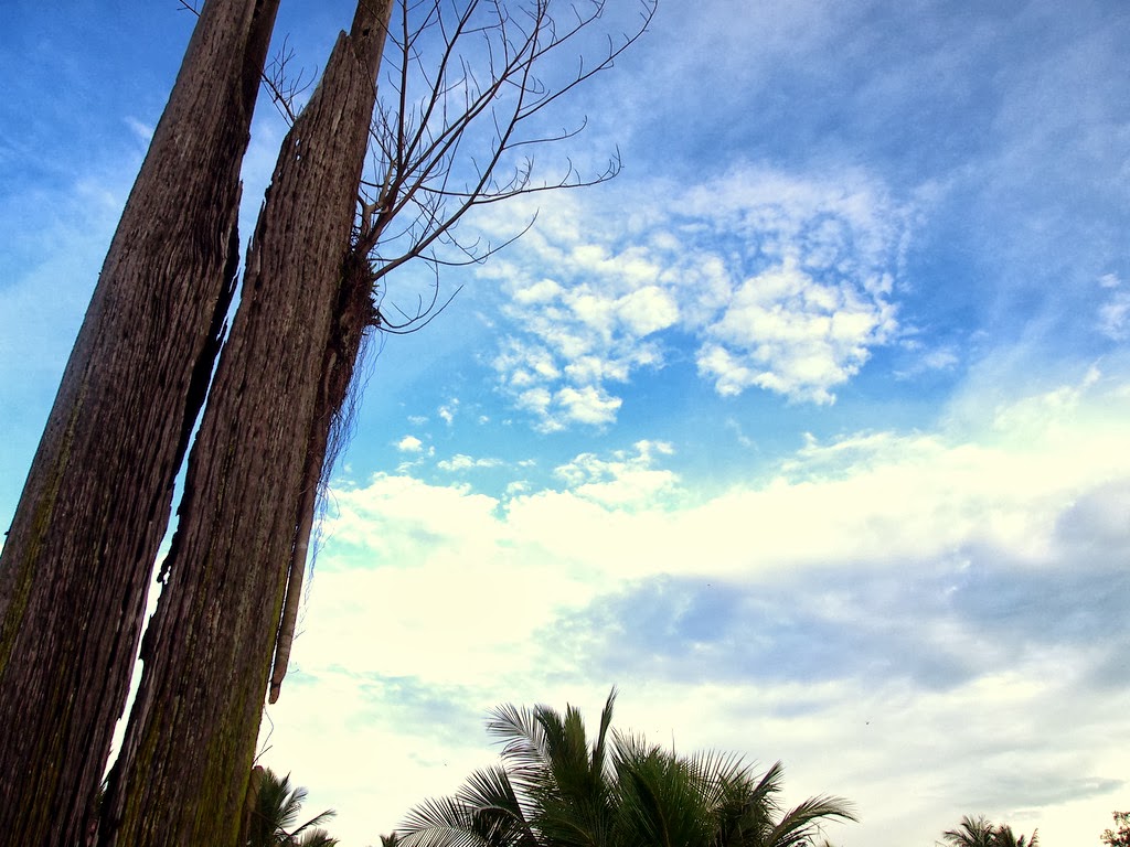 Travelholic: Jerunai; a hanging coffins and burial poles at Lamin Dana ...