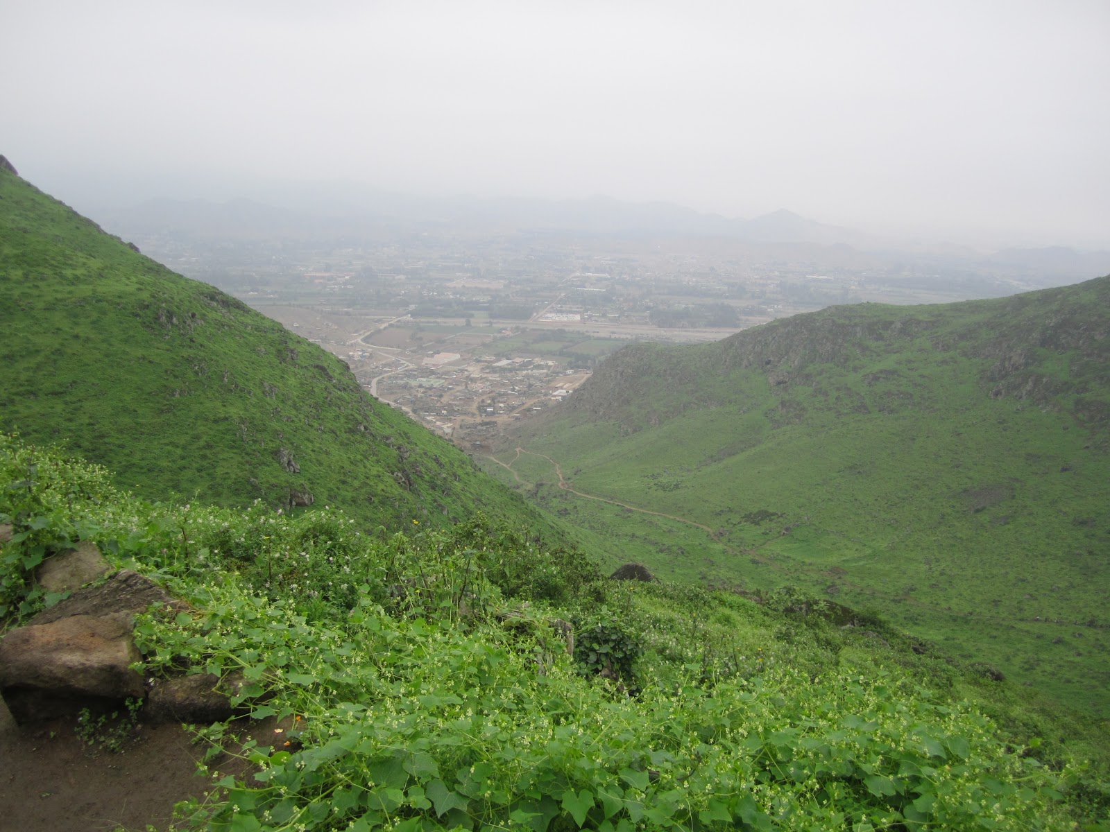 EDUCACIÓN AMBIENTAL Y DESARROLLO SOSTENIBLE: QUEBRADA VERDE Y LAS LOMAS ...