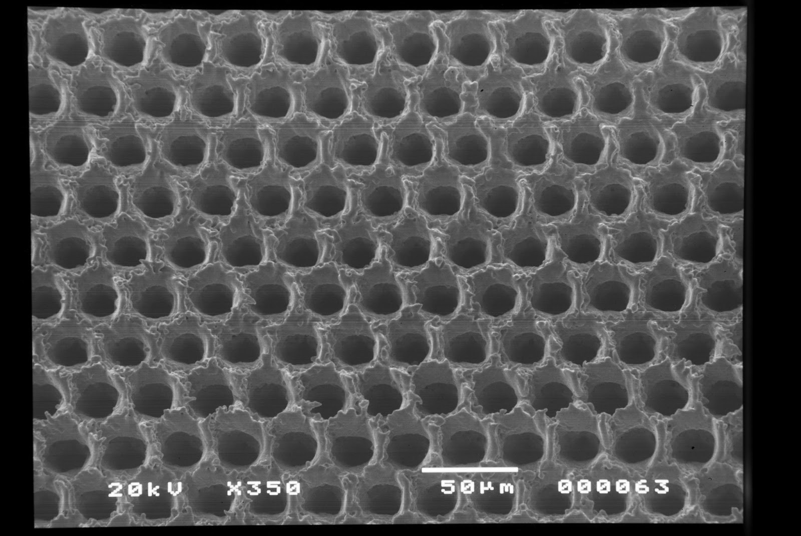 Lenox Laser: Arrays with millions of small micron holes