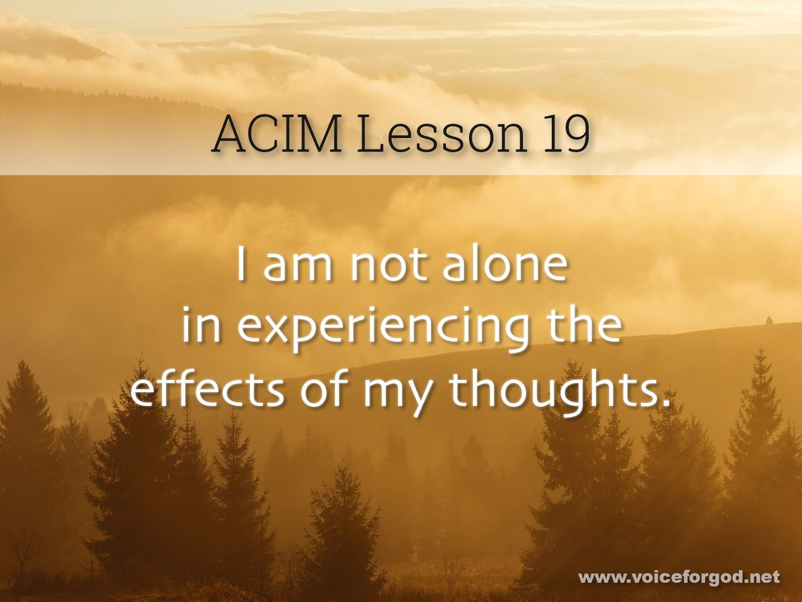 Miracle Life: ACIM Workbook Lesson 19