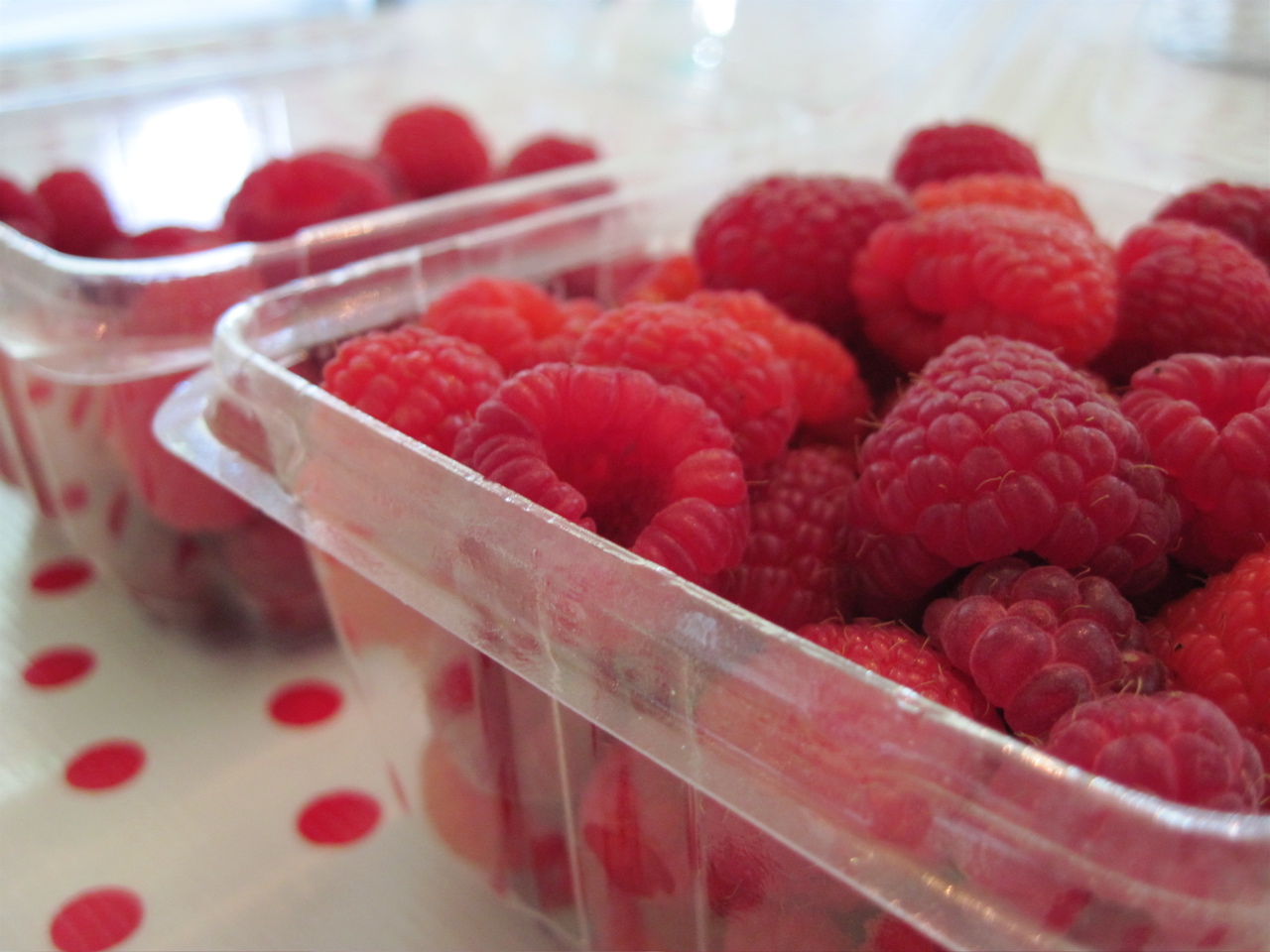 tinkered treasures: berry cheep project