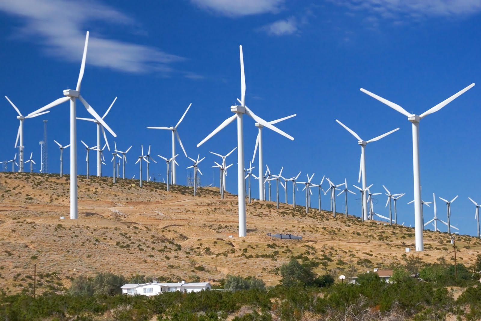 Green It DENMARK S FLAG IS GOING TO FLY HIGH BY WIND POWER A green-it-denmark-s-flag-is-going-to-fly-high-by-wind-power-a