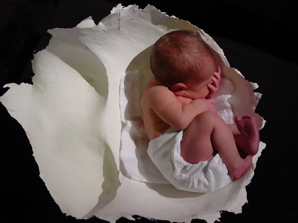 Delineate My Life as in a Picture