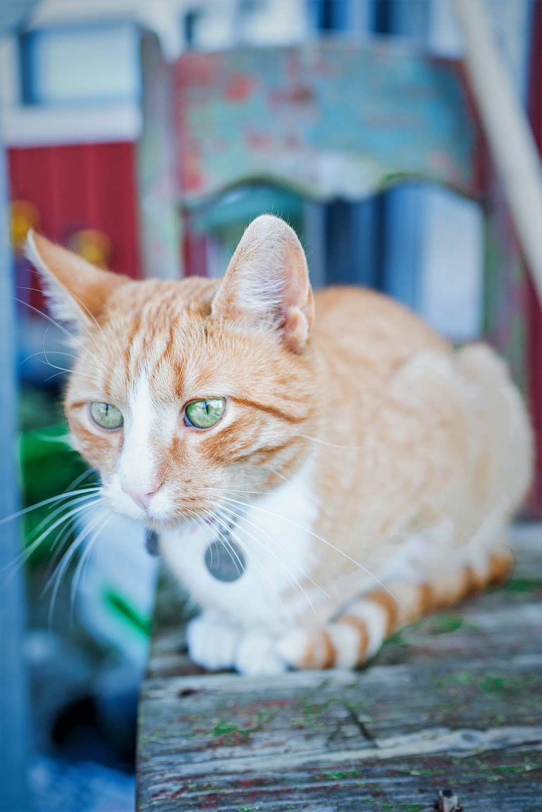 Valkoinen Puutalokoti: Sisustussuunnitelmia ;)