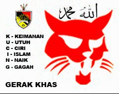 the truth..: kucing merah????