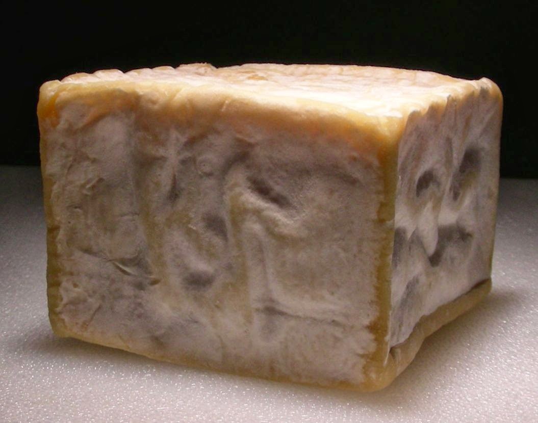 What's in My Cheese Compartment Right Now