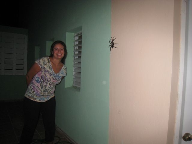 SO Many Cacatas! | Live This Life: Dominican Style