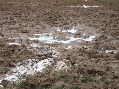 Sabbia: Le sabbie mobili