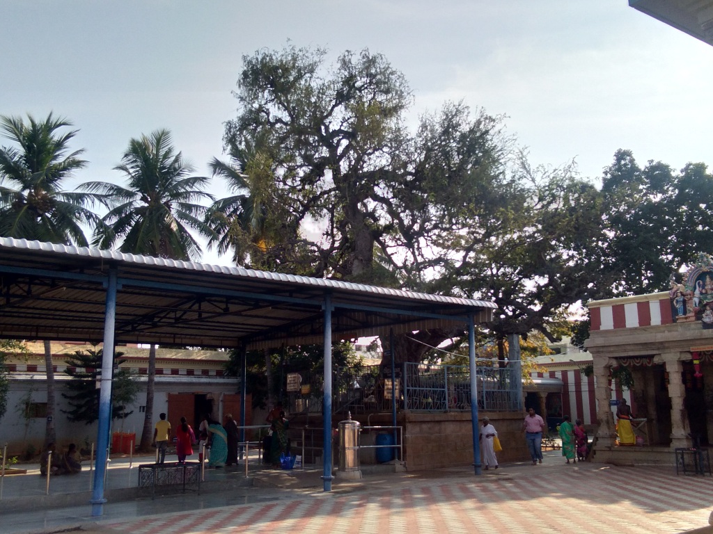 Tamilnadu Tourism: Mahudeshwarar Temple, Kodumudi – The Temple