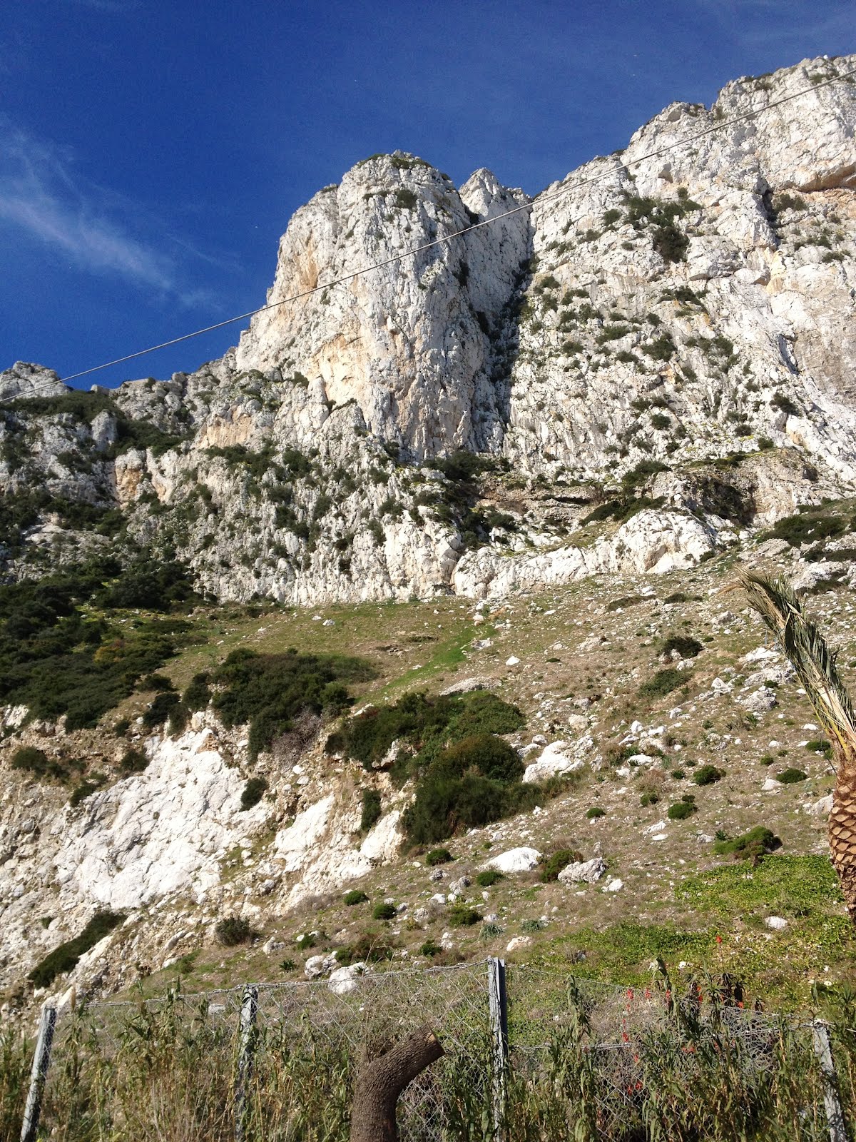 Adam's World Chess Tour