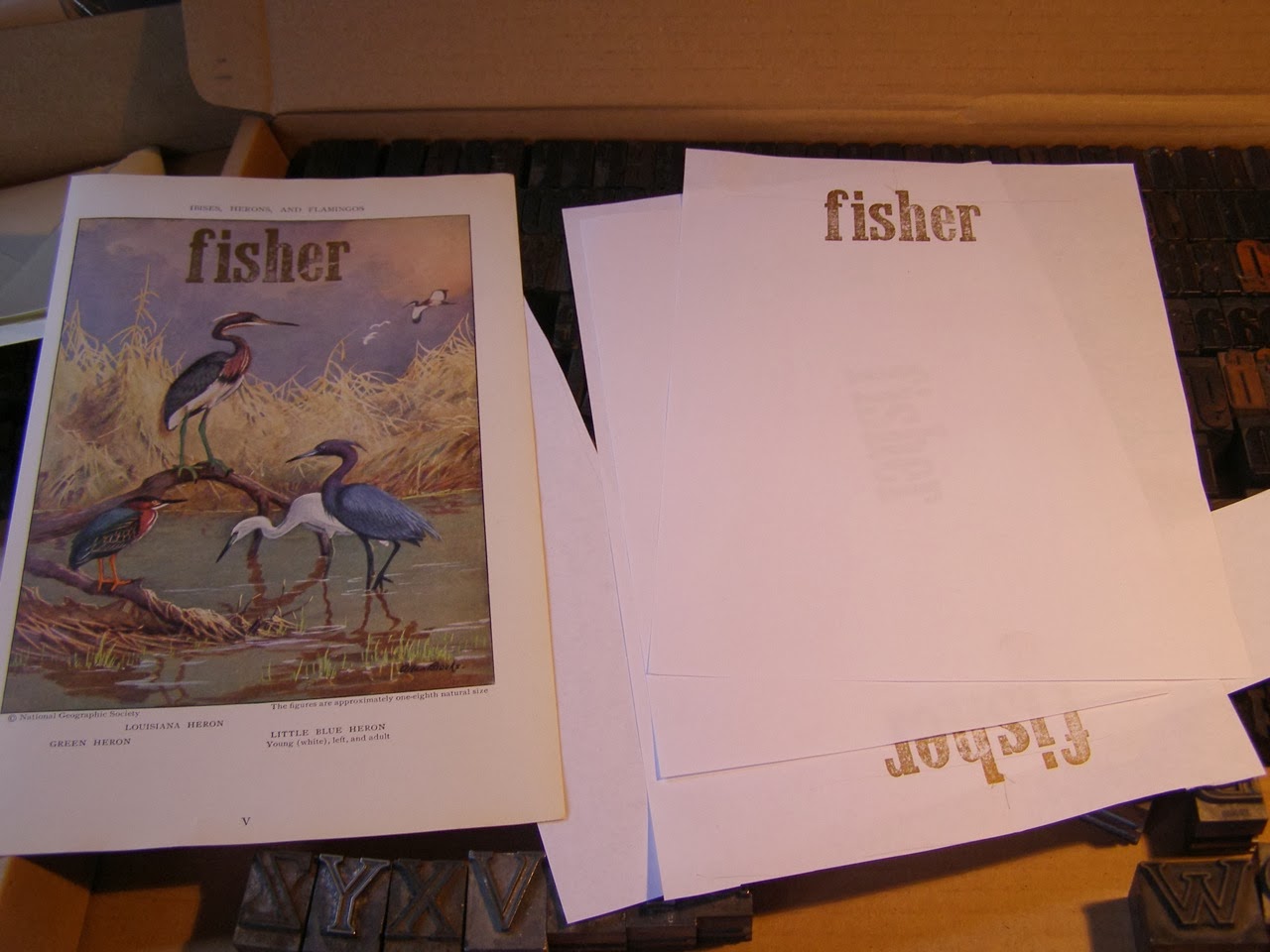 words and ideas, poetry and images: December 2013