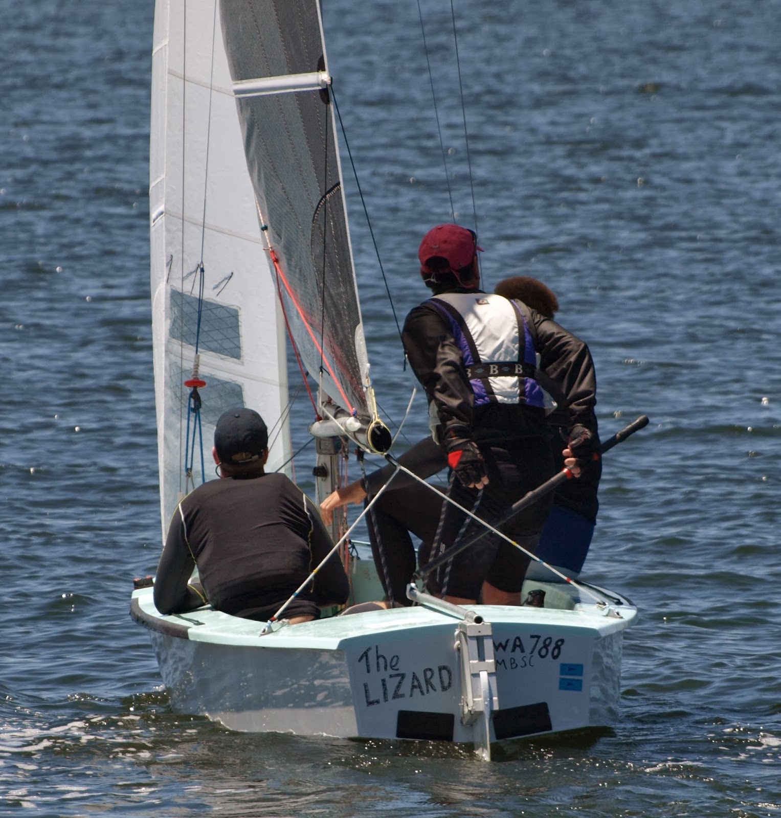 Observations in an undemocratic world: Race 7 - Australian Sharpie ...